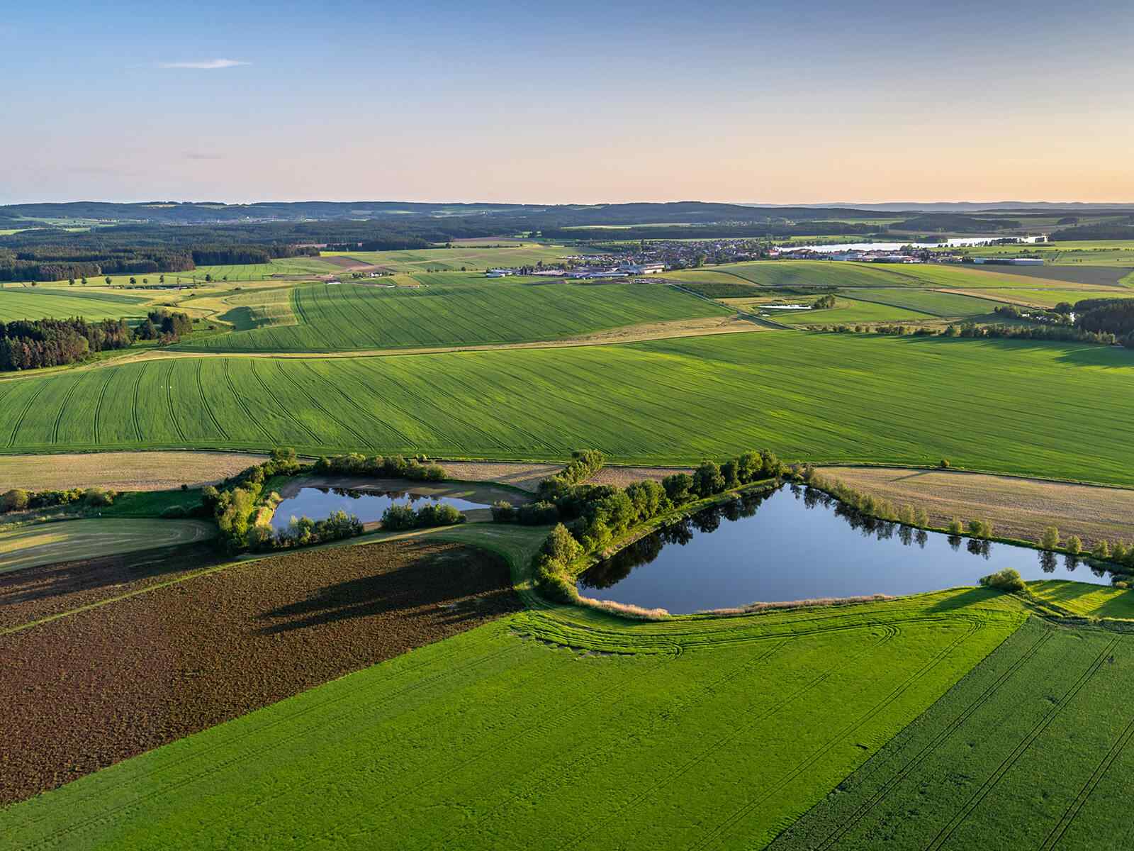 Home 02 – minnagan_EN